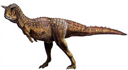1000+ images about Extra on Pinterest | Spinosaurus, Dinosaurs and ...